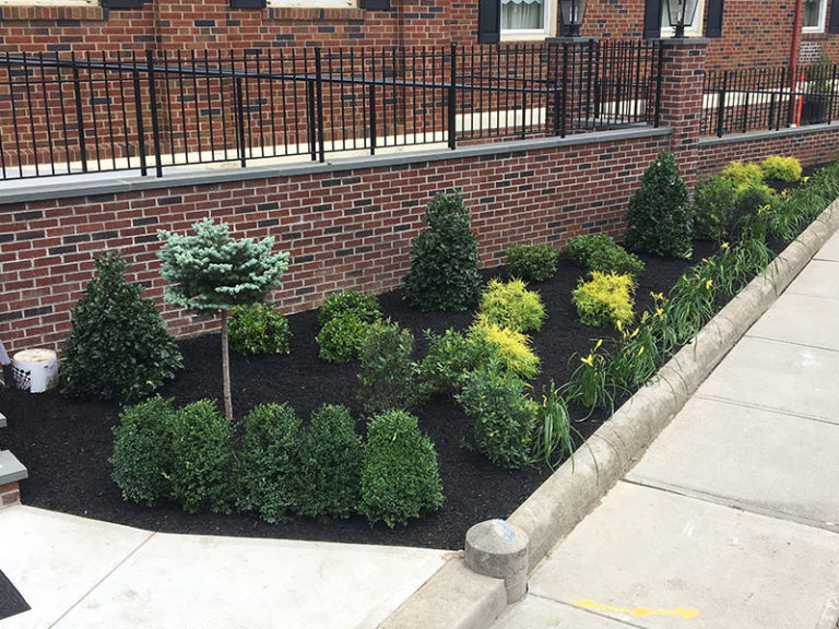 Commercial Building Landscaping - Before & After Hattoy's Commercial ...
