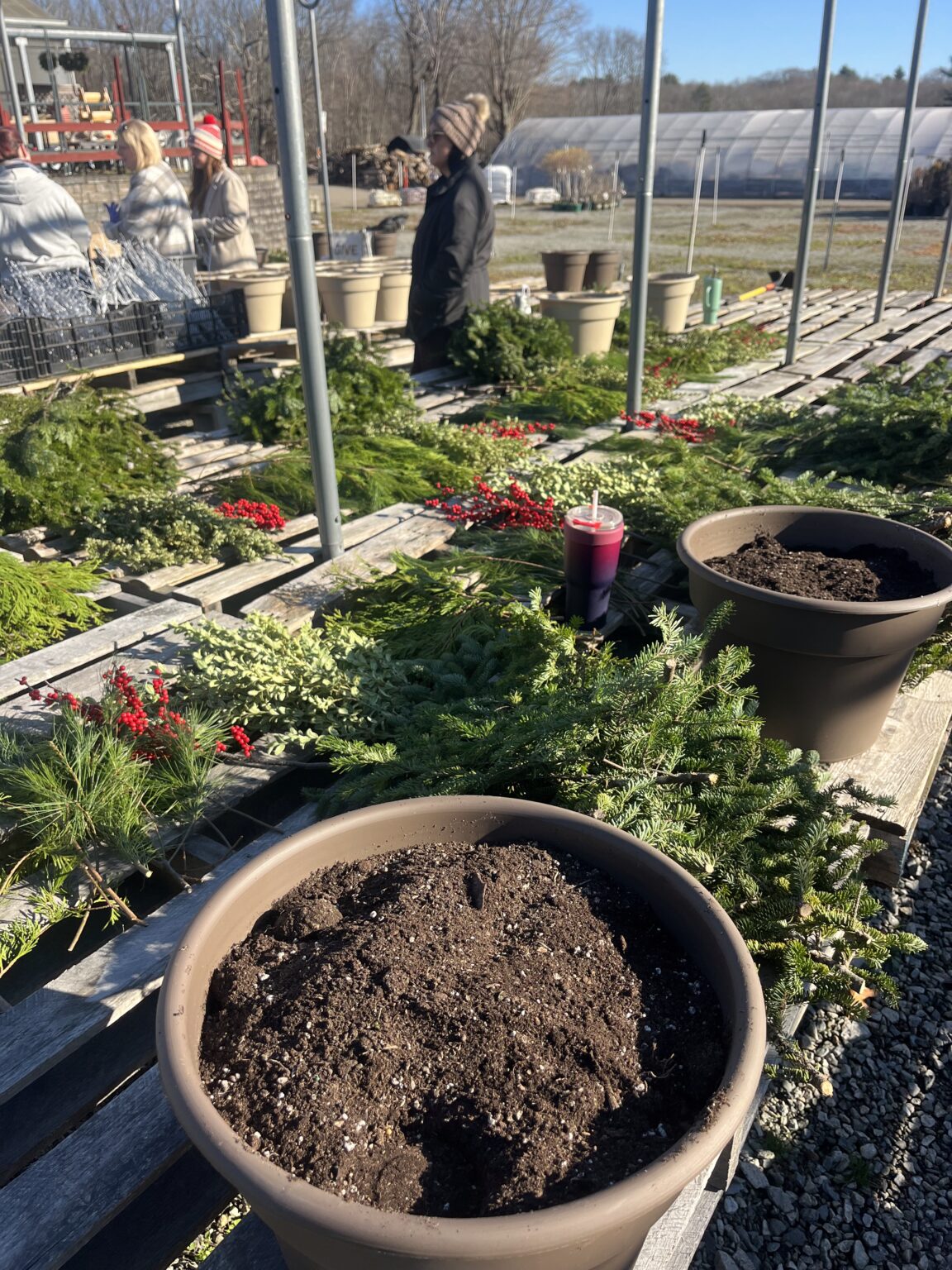 Winter Planter Class - Hattoy's Nursery, Landscaping & Garden Center